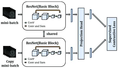 Schematic Of The Model Training Stage Download Scientific Diagram