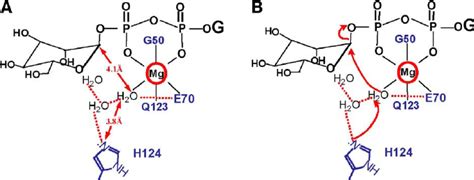 2d 1 H 15 N Hmqc Spectra Of The Imidazole Region Of The Gdpmh Mg 2 C