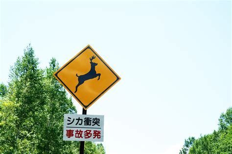 観光客は驚くかも 北海道ならではの「道路標識・看板」3つ 北海道likers