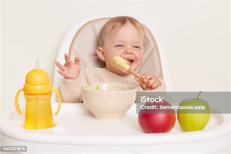 베이지 색 스웨터를 입고 높은 의자에 앉아서 퓌레 나 죽을 먹고 숟가락을 들고 웃고 하얀 배경에 고립 된 혼자서 먹는 법을 배우는 행복한 어린 여성 아기 소녀 12 17