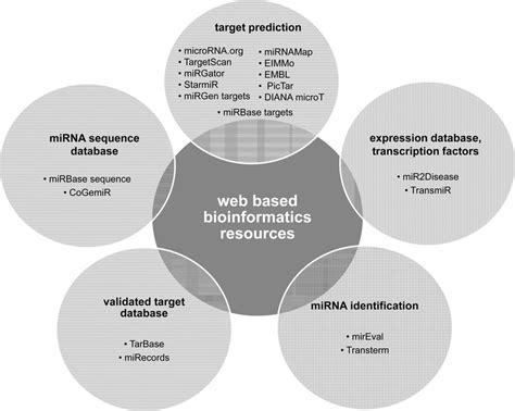 Web Based Bioinformatics Resources Used In Mirna Research Pictar Download Scientific Diagram
