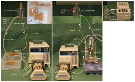 Assembling Of Perfusion Setups For Decellularization A The Picture