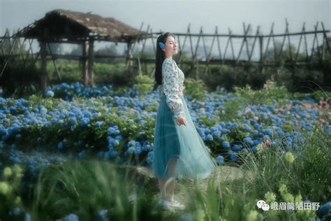 乐山乡当好 文旅促振兴丨双福镇塘房村依托乡村旅游赋能乡村振兴文化特色教育