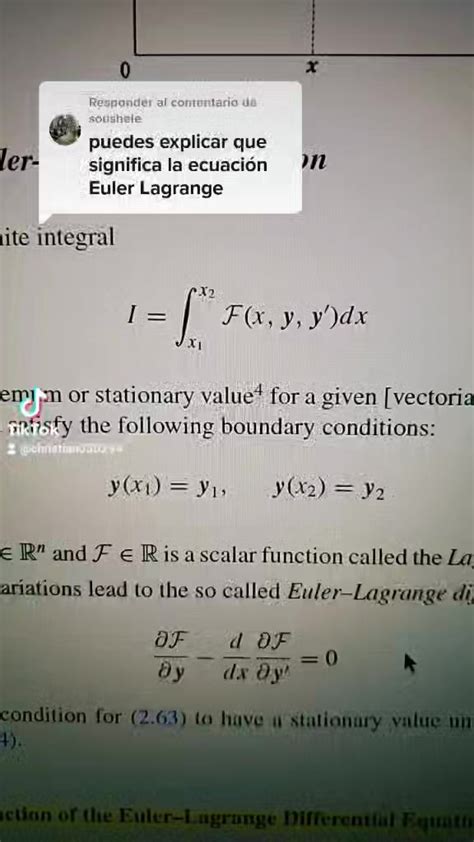 Ecuación De Euler Lagrange Y Algunos Detalles Sobre Sus Variaciones By Sistemas Dinámicos Y