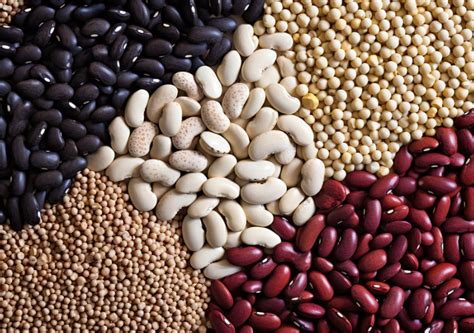 단백질 많은 음식 10가지