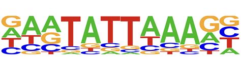 Github Truong128deeplearningpredictingdenovopromoters Tss Ebv This Is A Proficiently