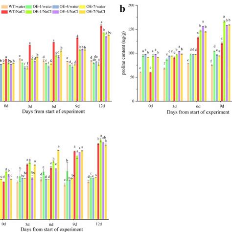Igv Integrative Genomics Viewer Visualization Of Genes By Rna Seq And