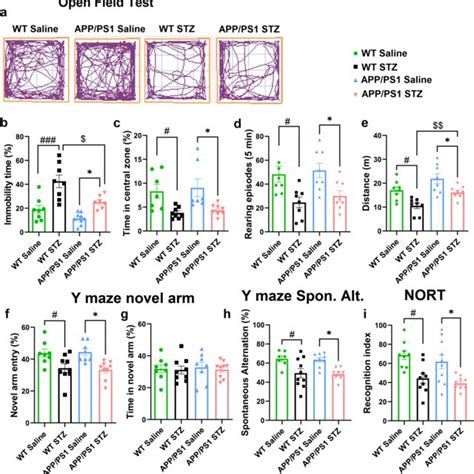 Open Field Test Y Maze Task And Novel Object Recognition Test A E Download Scientific