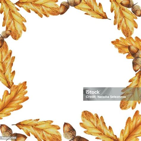 가을 떡갈나무 잎과 도토리가 분리된 수채화 프레임 추수감사절 디자이너를 위한 할로윈 일러스트레이션 스크랩북 디자이너 엽서 파티 초대장 포장지 표지 포스터 및 직물 및 로고를