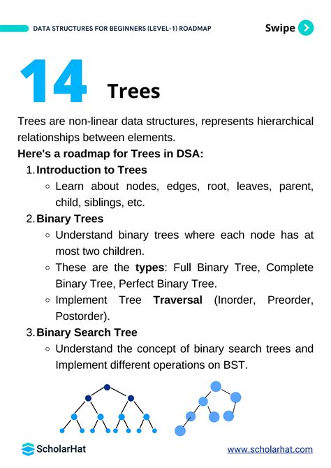 Data Structures And Algorithms Roadmap For Beginners By Scholarhat Pdf