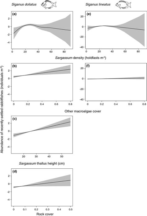 Modelled Smoothing Curves From The Zero Inflated Negative Binomial Download Scientific Diagram