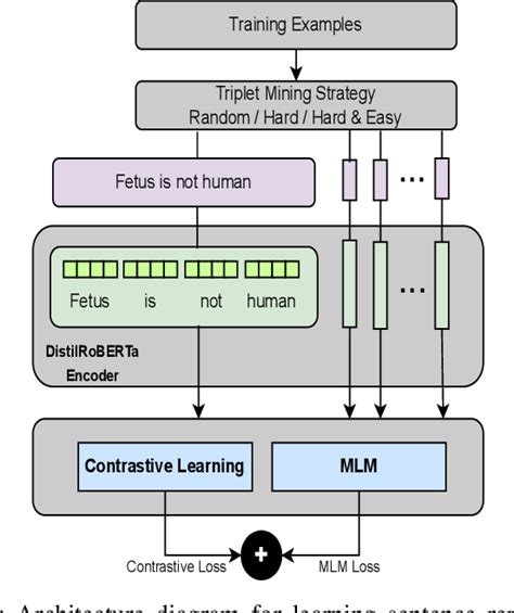 Figure 1 From Learning Representations Through Contrastive Strategies