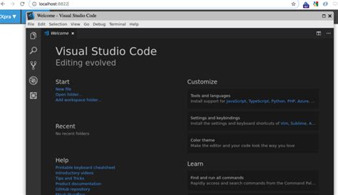 running microsoft vs code remotely in a browser using xpra and via a