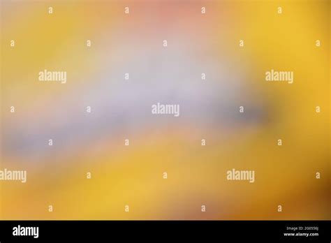 Gradient Multi Colors Background For Wallpapers And Graphic Designs