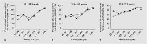 Figure 2 From Spontaneous Contraction Of Pseudoglandular Stage Human