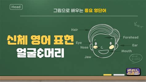Englsih외우지 않아도 저절로 외워지는 영 단어신체 영어 표현 얼굴and머리쉐도잉 영어 Youtube