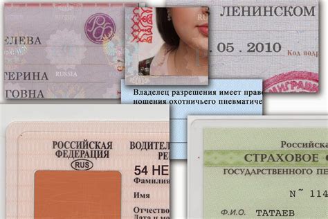 Паспорт Рф И Снилс Фото — Картинки фотографии