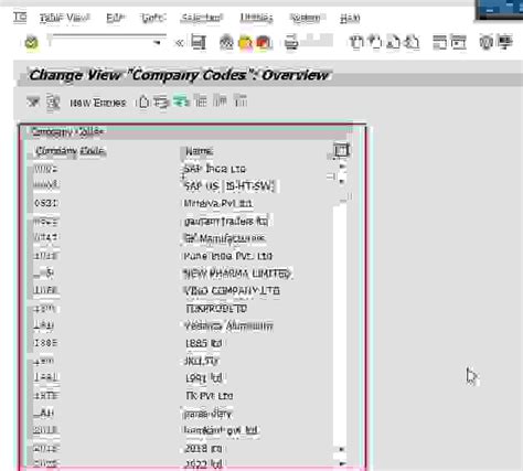 Automatic Payment Program In Sap