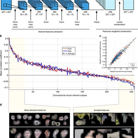 Convolutional Neural Network Computation Of Saliency Maps A Model Of