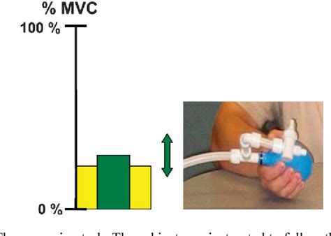 Figure 1 From A Joint Multimodal Group Analysis Framework For Modeling Corticomuscular Activity