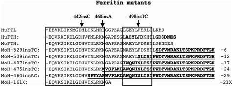 Sequence Alignment Of Human Download Scientific Diagram