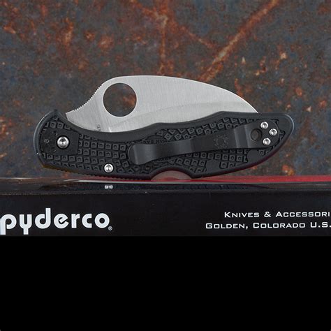 Spyderco Tasman Salt 2 FRN