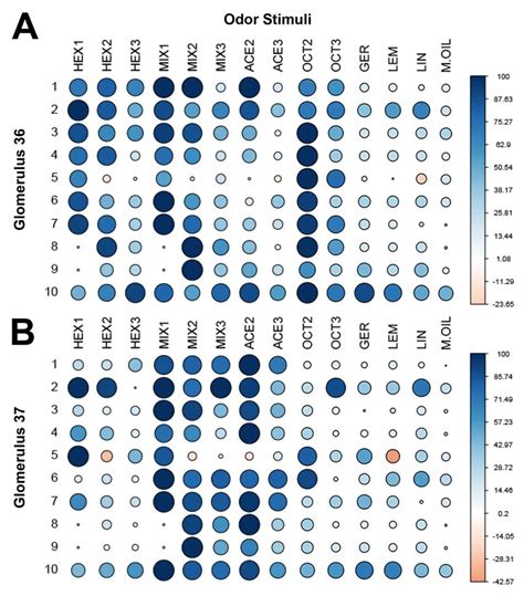 Natural Inter Individual Variation In Glomerular Response Profiles To Download Scientific