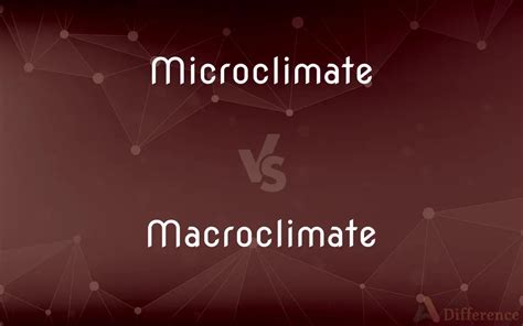 Microclimate Vs Macroclimate — Whats The Difference