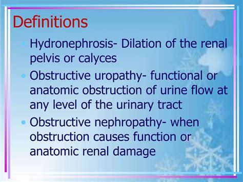 Pathophysioogy Of Urinary Tract Obstruction Bassem Presentation Ppt