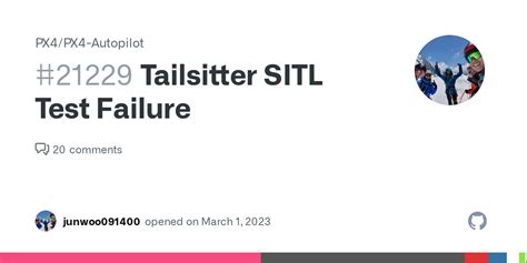 Tailsitter SITL Test Failure Issue PX PX Autopilot GitHub