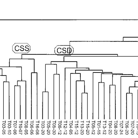 Results Of The Cluster Analysis Bray Curtis Index Upgma Aggregation