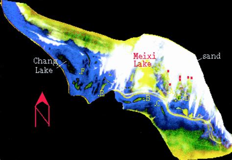 Remote Sensing Image With Geographic Information System Data