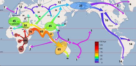 Early Human Migrations Wikipedia