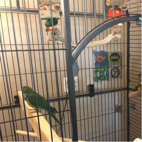 Victorian Top Extra Large Bird Cage Foter