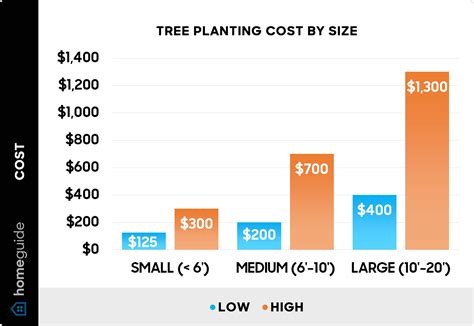 2025 Cost To Plant A Tree Tree Cost By Size Type