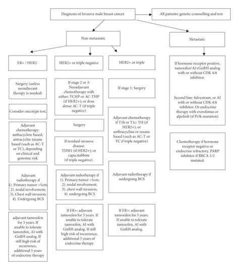 Treatment Algorithm For Male Breast Cancer Download Scientific Diagram