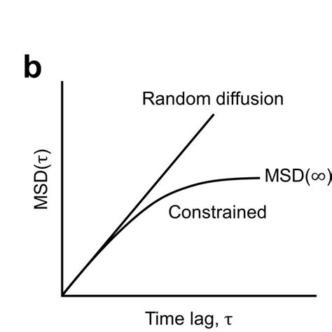 Correlation Between Adsorption Isotherm And Mean Squared Displacement