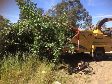 Tree Mulching Sydney Professional Sydney Tree Mulching Service