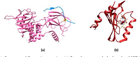 Figure 1 From Genetically Encoded Biosensors For The Fluorescence Detection Of O2 And Reactive