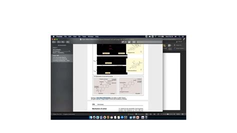 Small Non Coding Rnapptx