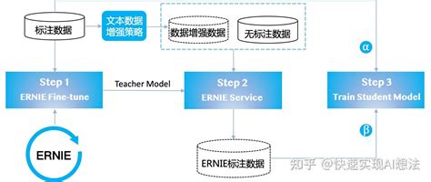 在数据增强蒸馏剪枝下ERNIE 模型性能提升详细方案 知乎