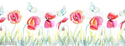 붉은 양귀비 수채화 원활한 테두리입니다 야생화와 나비가 있는 끝없는 여름 배너 엽서와 초대장용 건설 프레임에 대한 스톡 벡터 아트 및 기타 이미지 Istock