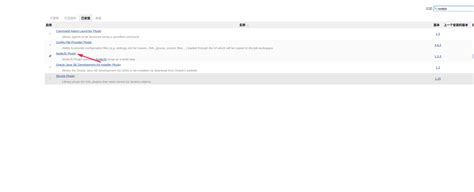jenkins 部署node应用 晚安，jake 博客园