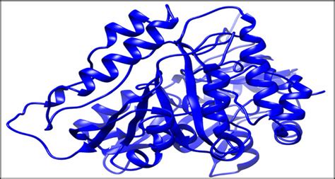 Constructed Three Dimensional Structure Of Gulo By Ab Initio Method