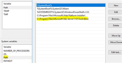 Sql Database Sqlcmd Is Not Recognized At CreateShardApplicationDatabaseServerLoginSqlCmd