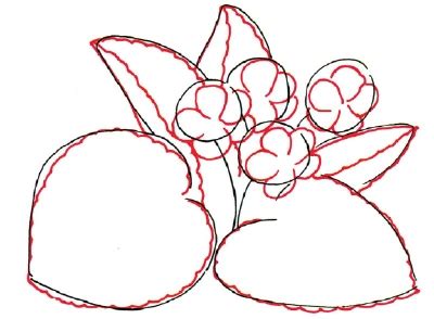 Cartoon Pictures How To Draw A Violet In Steps