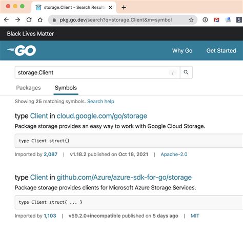 X Pkgsite Storage Client Displays As Struct Instead Of Struct In Snippet Issue