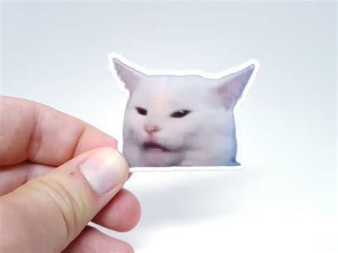 Meme Sticker Cat Woman Yelling At A Cat Funny Sticker For Cat Lover And Real Internet
