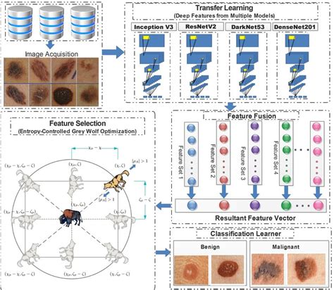 Detailed Illustration Of Proposed Skin Lesion Classification Framework