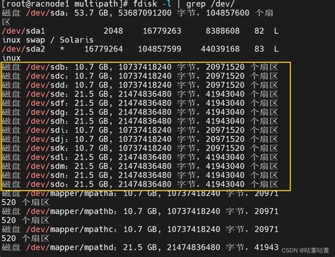 六、oracle11g rac集群搭建 修改共享磁盘名称 rac11g搭建共享存储 csdn博客